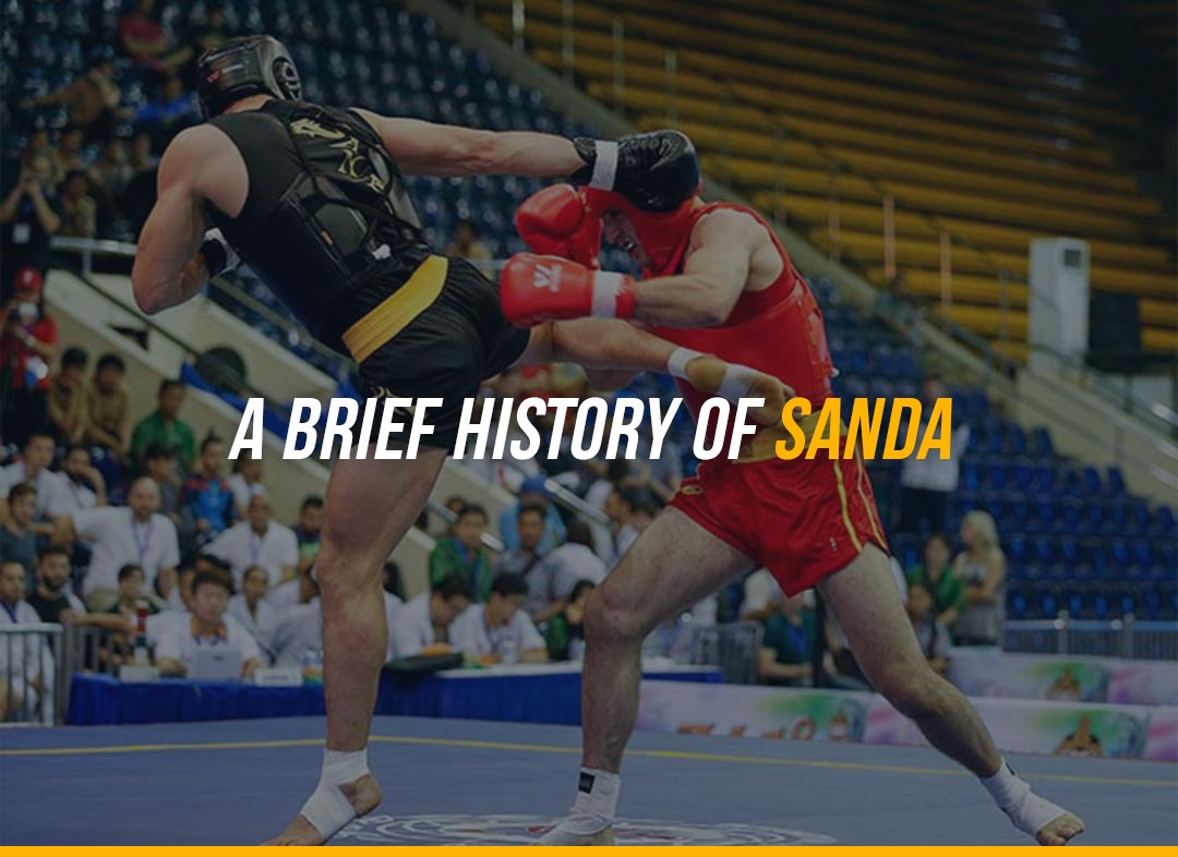 A Brief History of Sanda - Fight Quality